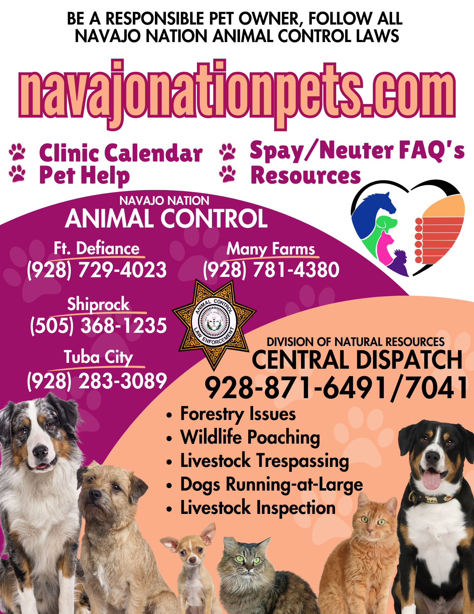 Navajo Chapter Sites